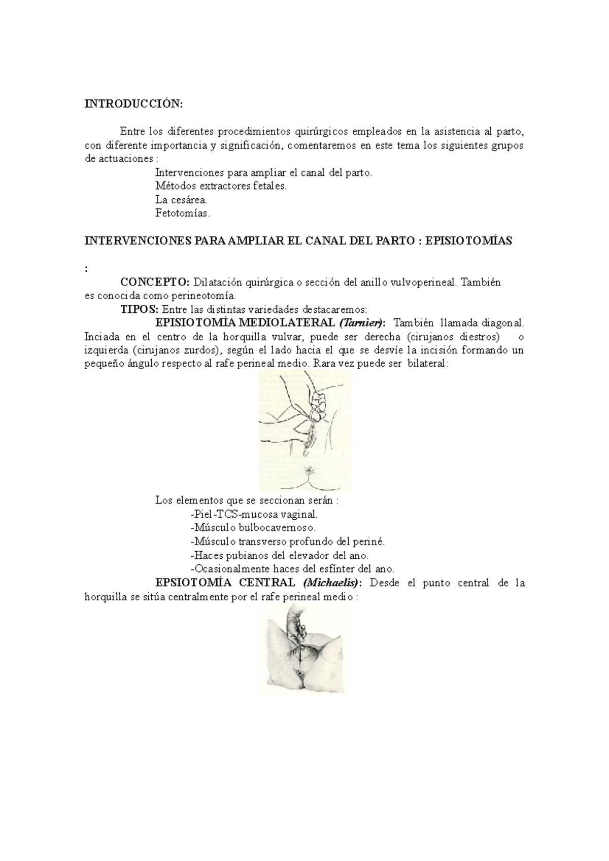 Episio - INTRODUCCIÓN: Entre los diferentes procedimientos quirúrgicos ...