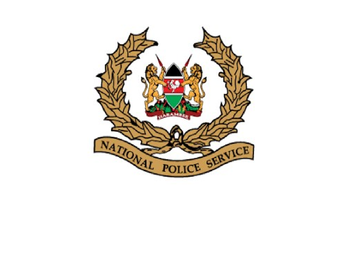 Police Badge - PERFECT - Criminal Litigation - NATIONAL POLICE SERVICE ...
