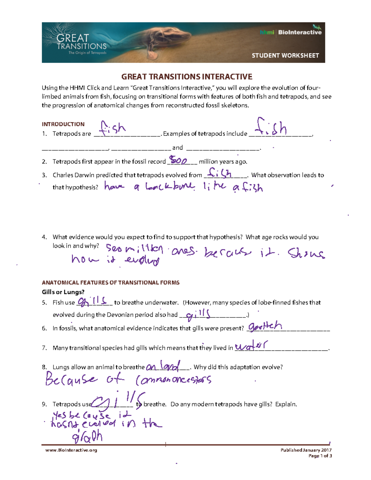 Evidence for Evolution - ! ! | BioInteractive Published January 2017 ...