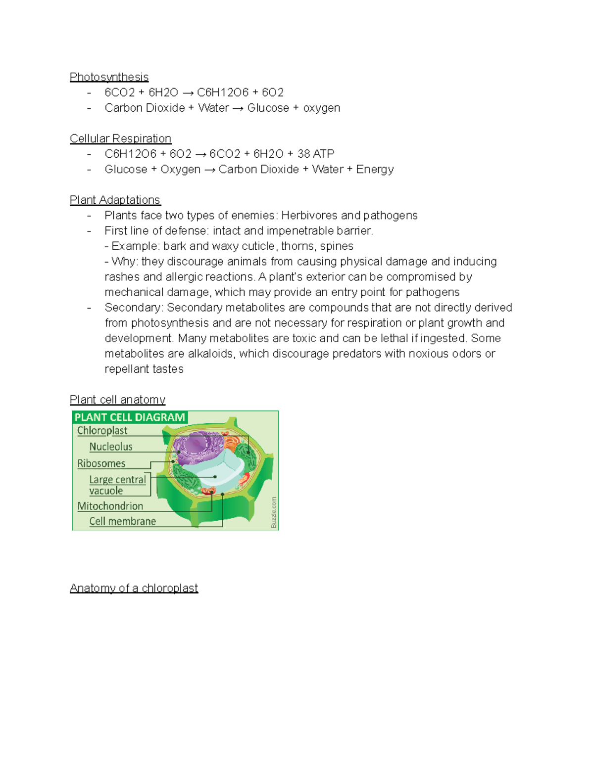 Bio Exam review unit 2 part 2 - Photosynthesis - 6CO2 + 6H2O → C6H12O6 ...