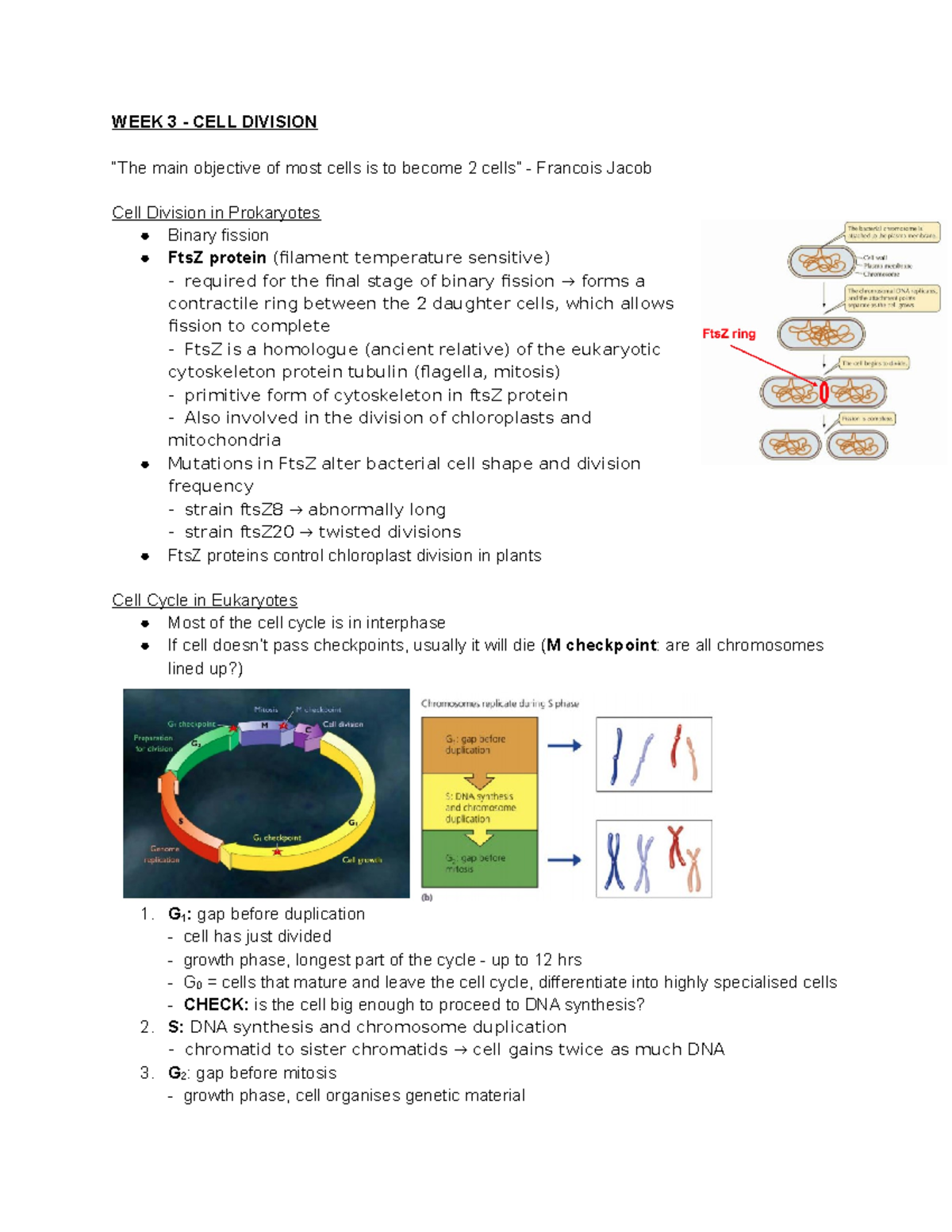 WEEK 3 - CELL Division - Lecture notes 3 - WEEK 3 - CELL DIVISION “The ...