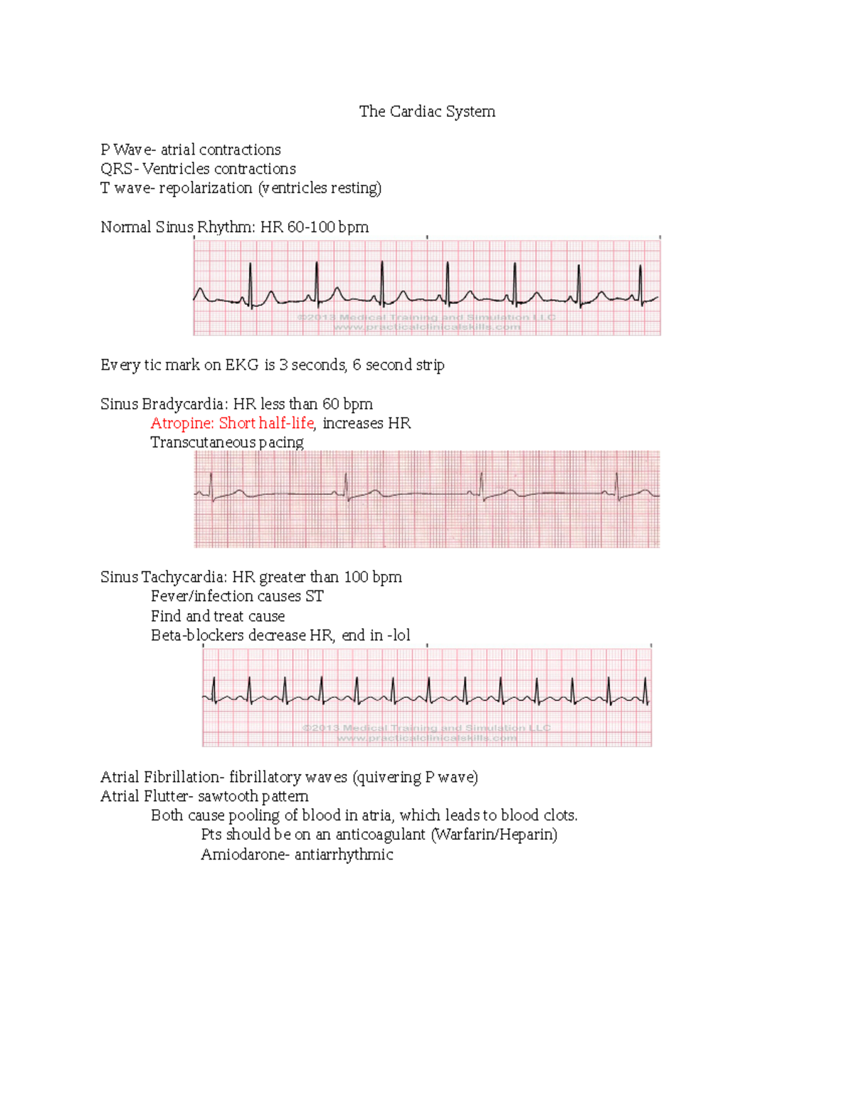 Adult Health Exam2Review - The Cardiac System P Wave- atrial ...
