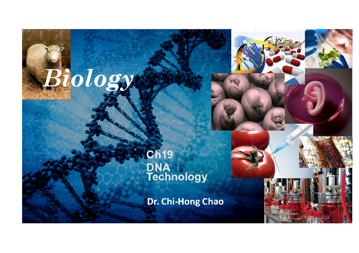 Biology Ch19 - Lecture notes 19 - Ch19 DNA Technology ####### Dr. Chi ...