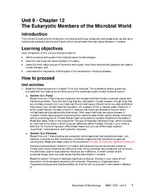 Patho tree info for diabetes - It is characterized by elevated blood ...
