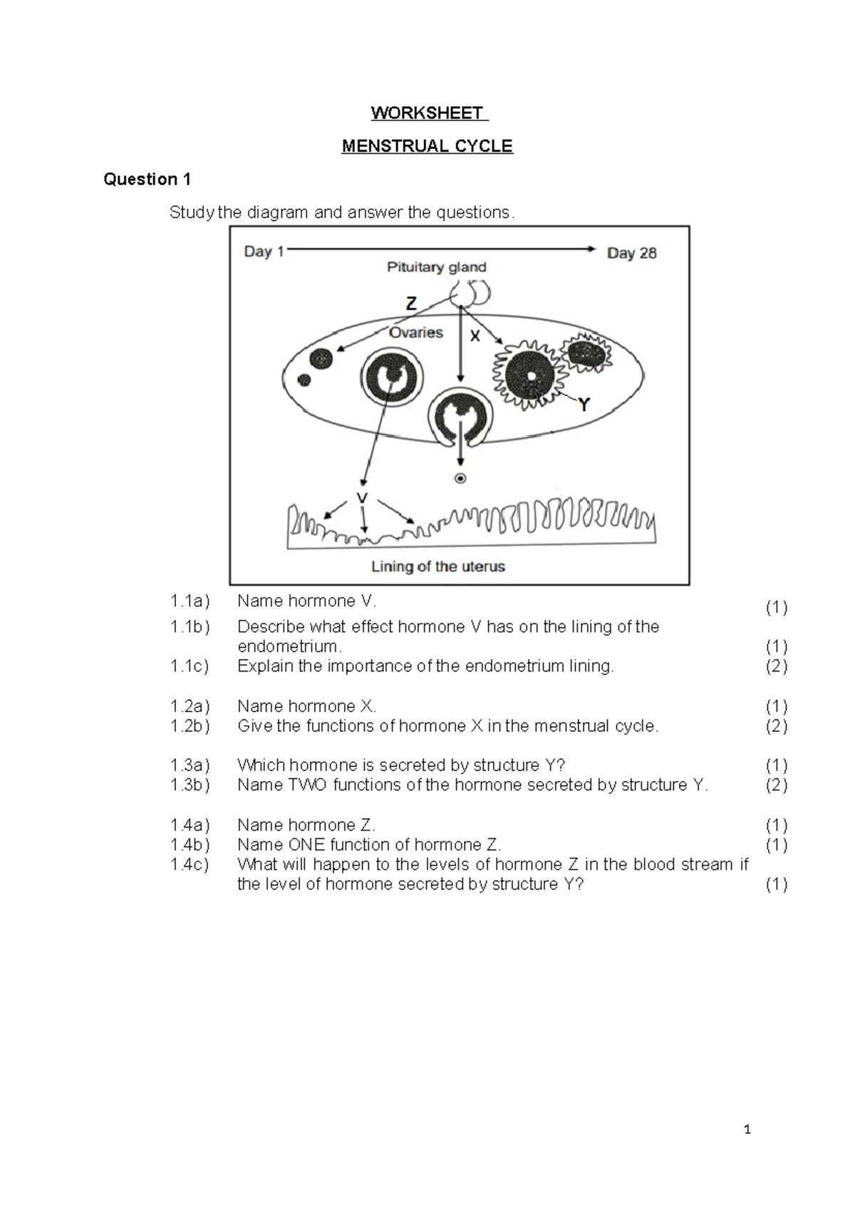Worksheet Menstrual Cycle 7 March 2024 - WORKSHEET MENSTRUAL CYCLE ...
