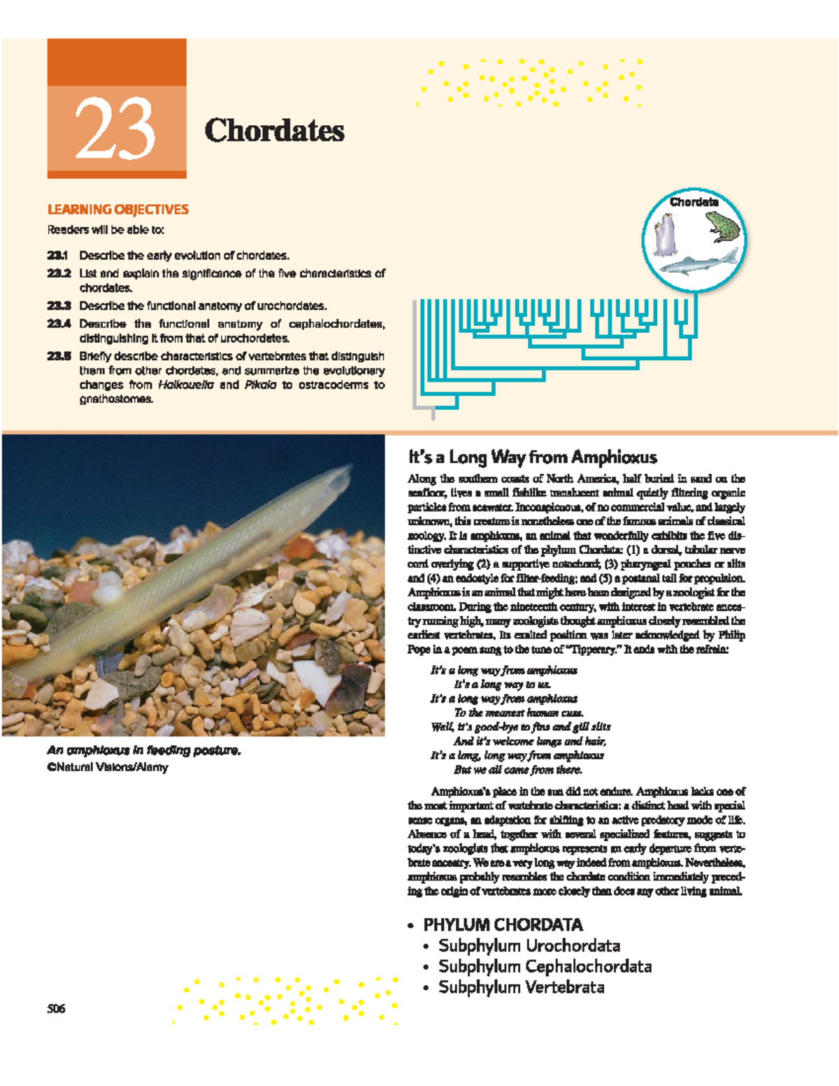 Cap23-Chordates-Zoology-Hickman-18th Ed - Zoologia de vertebrados - Studocu