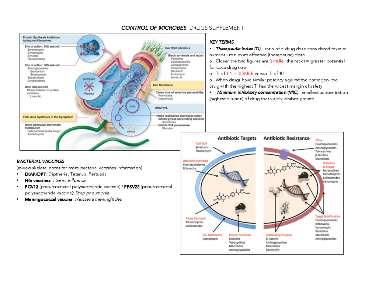 Micro Drugs Chart - CONTROL OF MICROBES: DRUGS SUPPLEMENT KEY TERMS ...