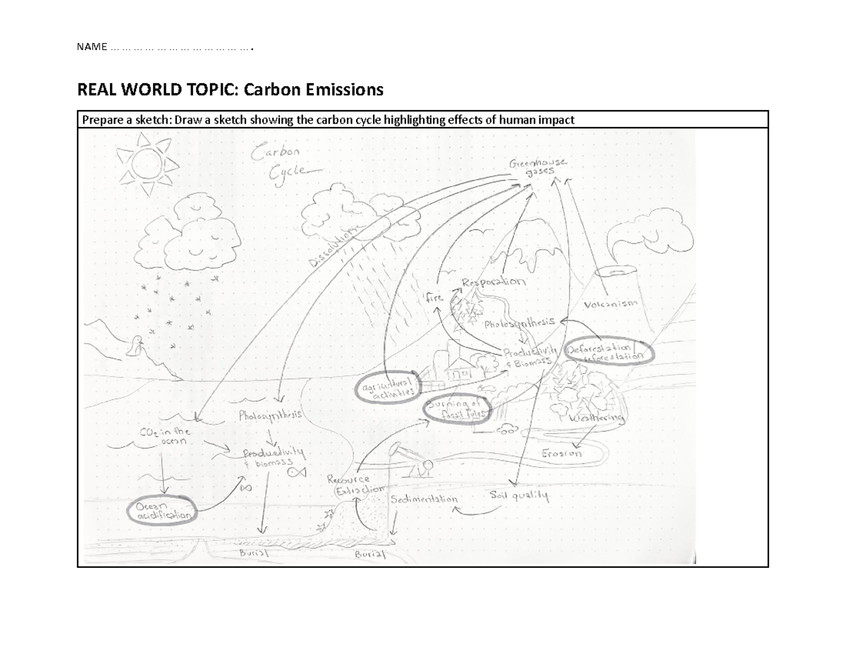 Carbon Worksheet 2024 - bio woksheet - NAME ...