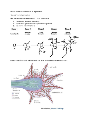 [Solved] AC 111 Outline the structure and function of the brain spinal ...