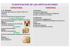 Puntos Craneometricos - Anatomía - Gratino Prostion Gonion Nasoespinal ...