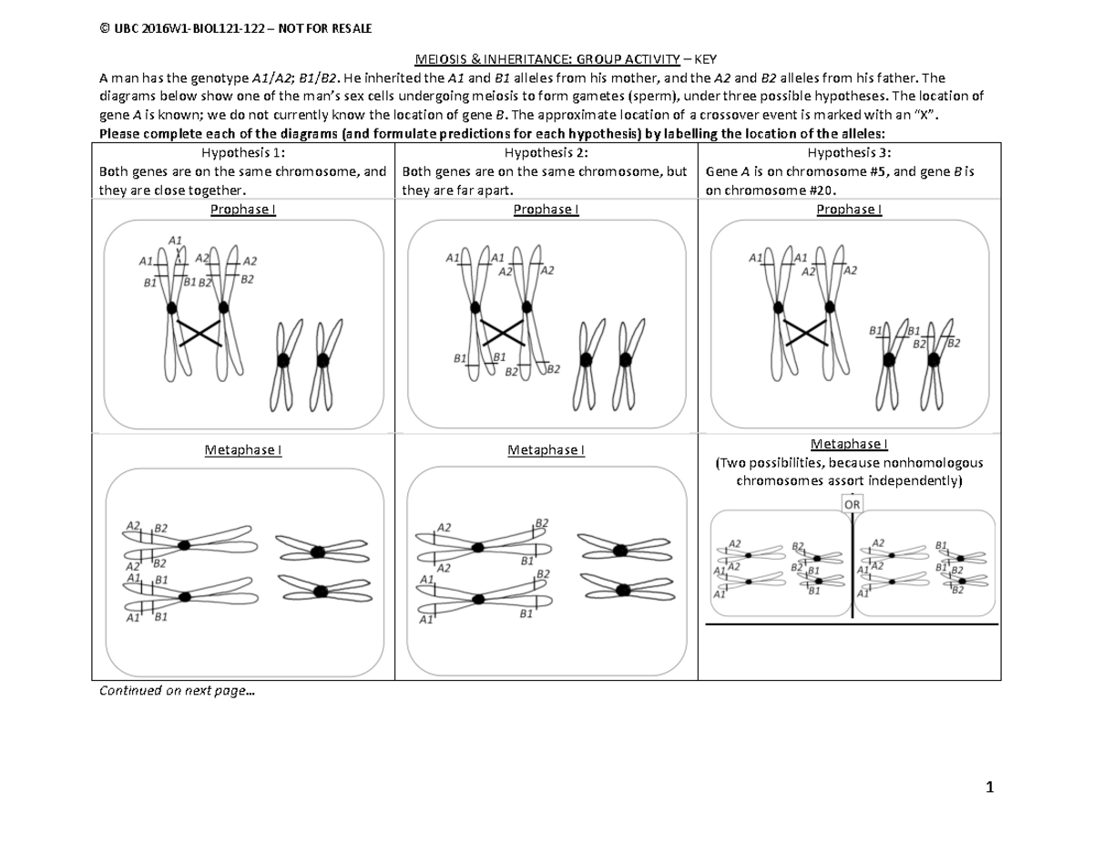 A3 Meiosis & Inheritance Worksheet KEY - © UBC 2016W1-BIOL121-122 – NOT ...