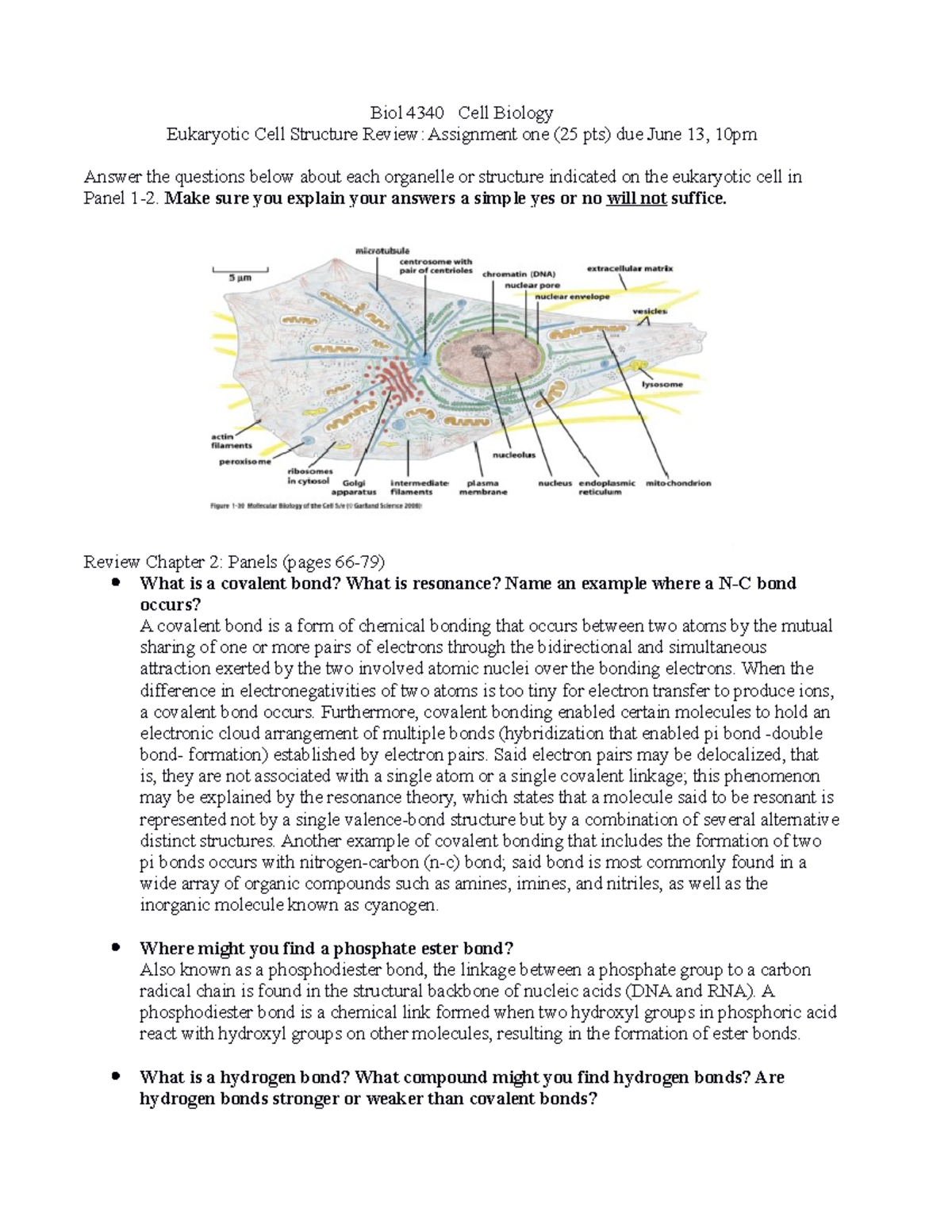Cell biology questions - Biol 4340 Cell Biology Eukaryotic Cell ...