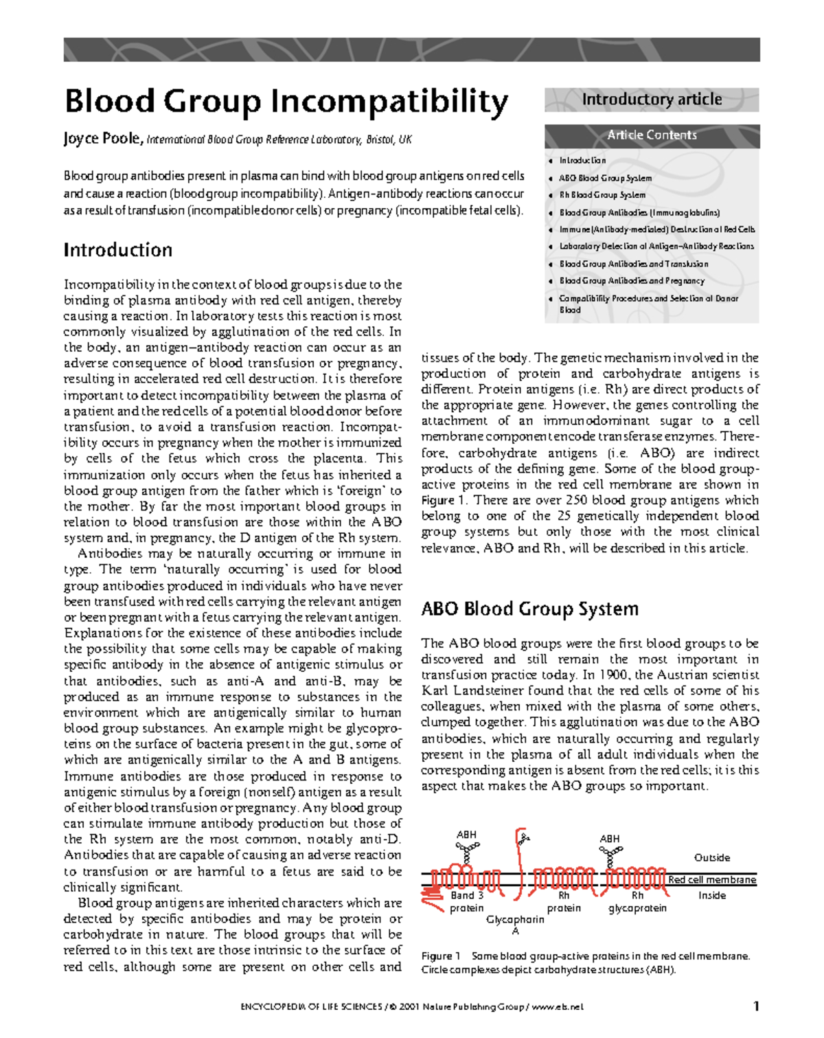 Blood group incompatibility - Antigen–antibody reactions can occur as ...