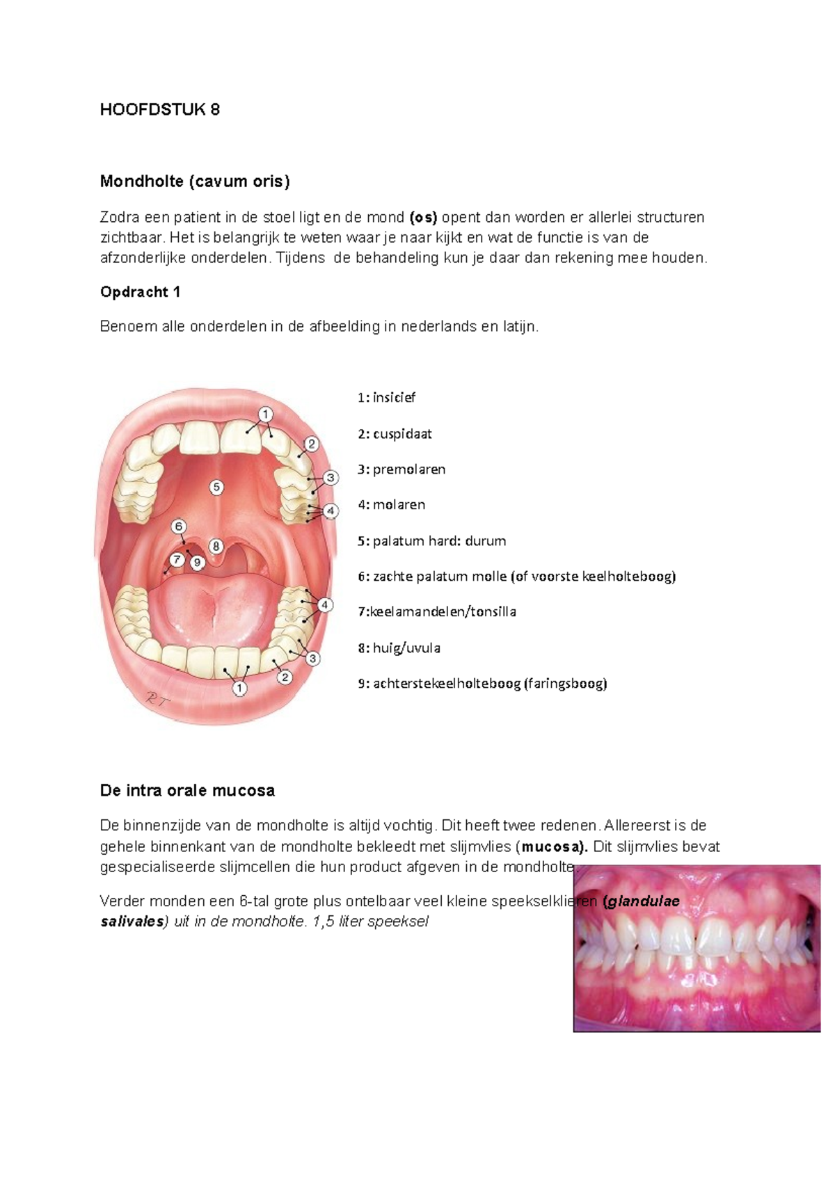 Hoofdstuk 8 Origineel 2016 - HOOFDSTUK 8 Mondholte (cavum oris) Zodra ...