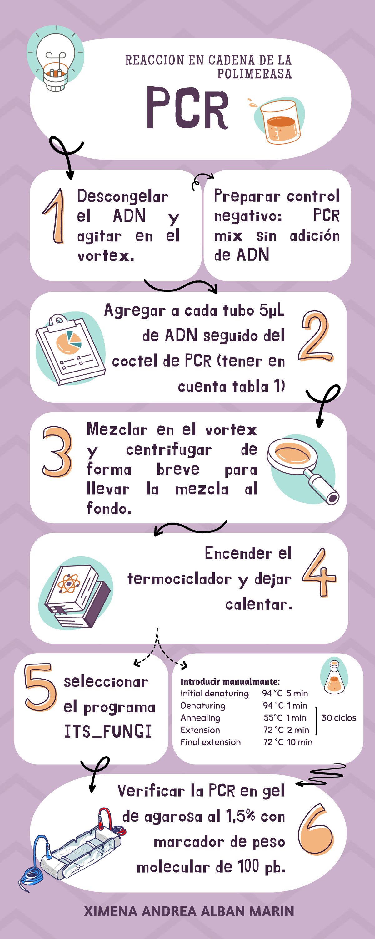 Reaccion EN Cadena DE LA Polimerasa - PCR REACCION EN CADENA DE LA ...