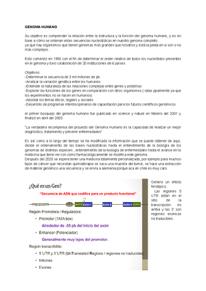 PCR - clase de pcr y sus variantes - Reacción de polimerasa en cadena ...