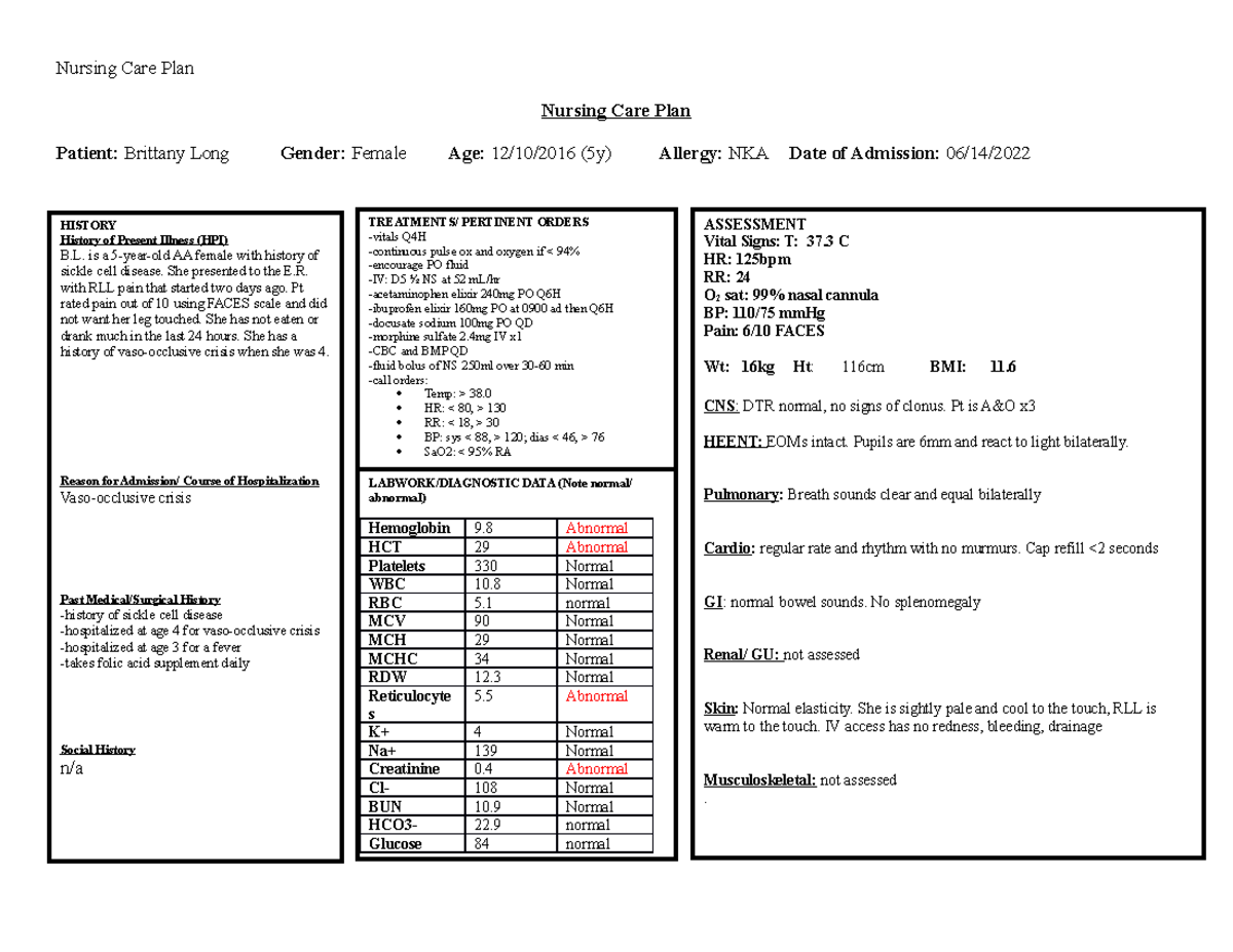 Care Plan- Long - care plan - Nursing Care Plan Patient: Brittany Long ...