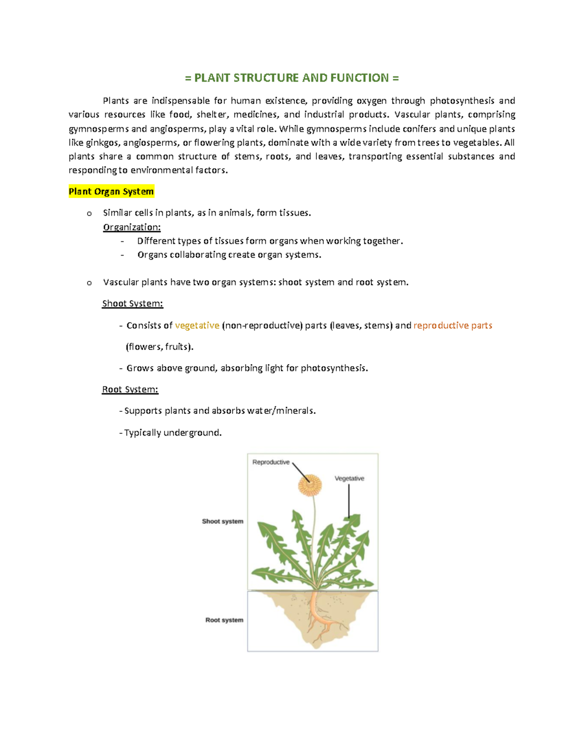 Plant Structures and Functions Notes - = PLANT STRUCTURE AND FUNCTION ...