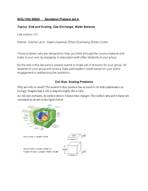 Problem set 2 - Name: CHEM 2510 S23: Problem Set #2 (Due 11:59PM ...