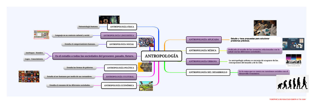 Antropología - mapa ,ental - ANTROPOLOGÍA APLICADA Estudia y hace ...