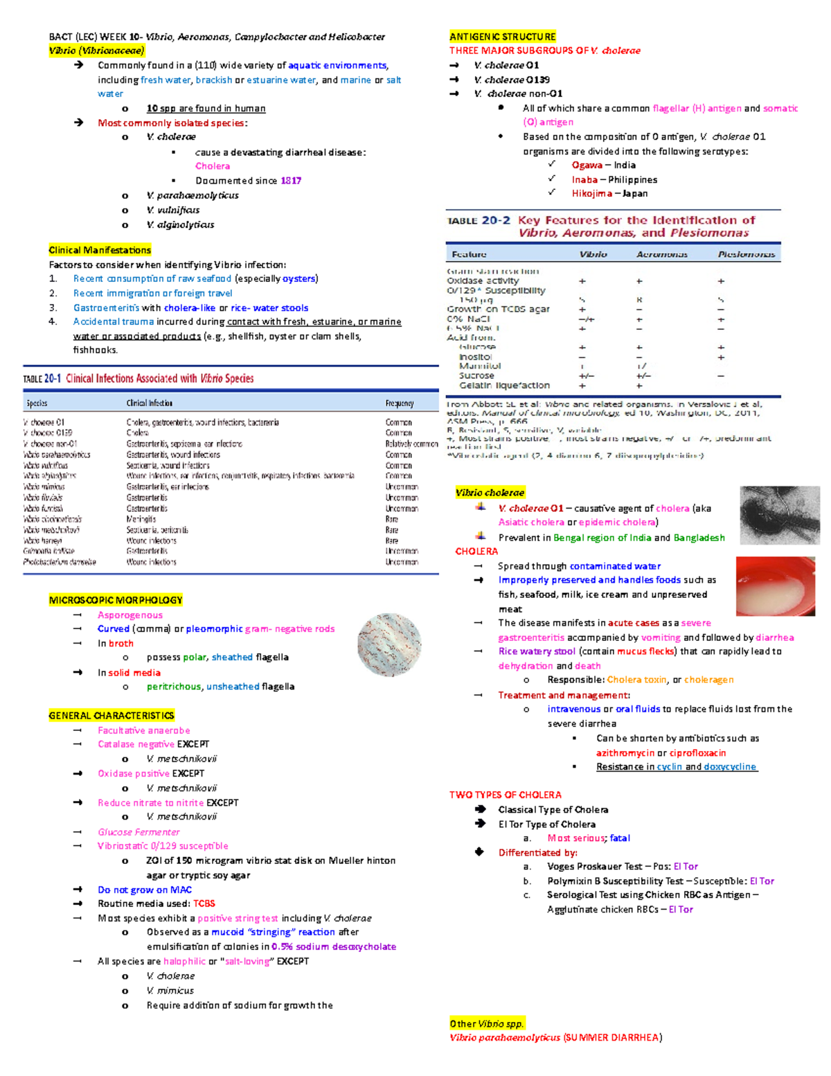 Week10 Lec Vibrio aeromonas campylo helico - BACT (LEC) WEEK 10- Vibrio ...