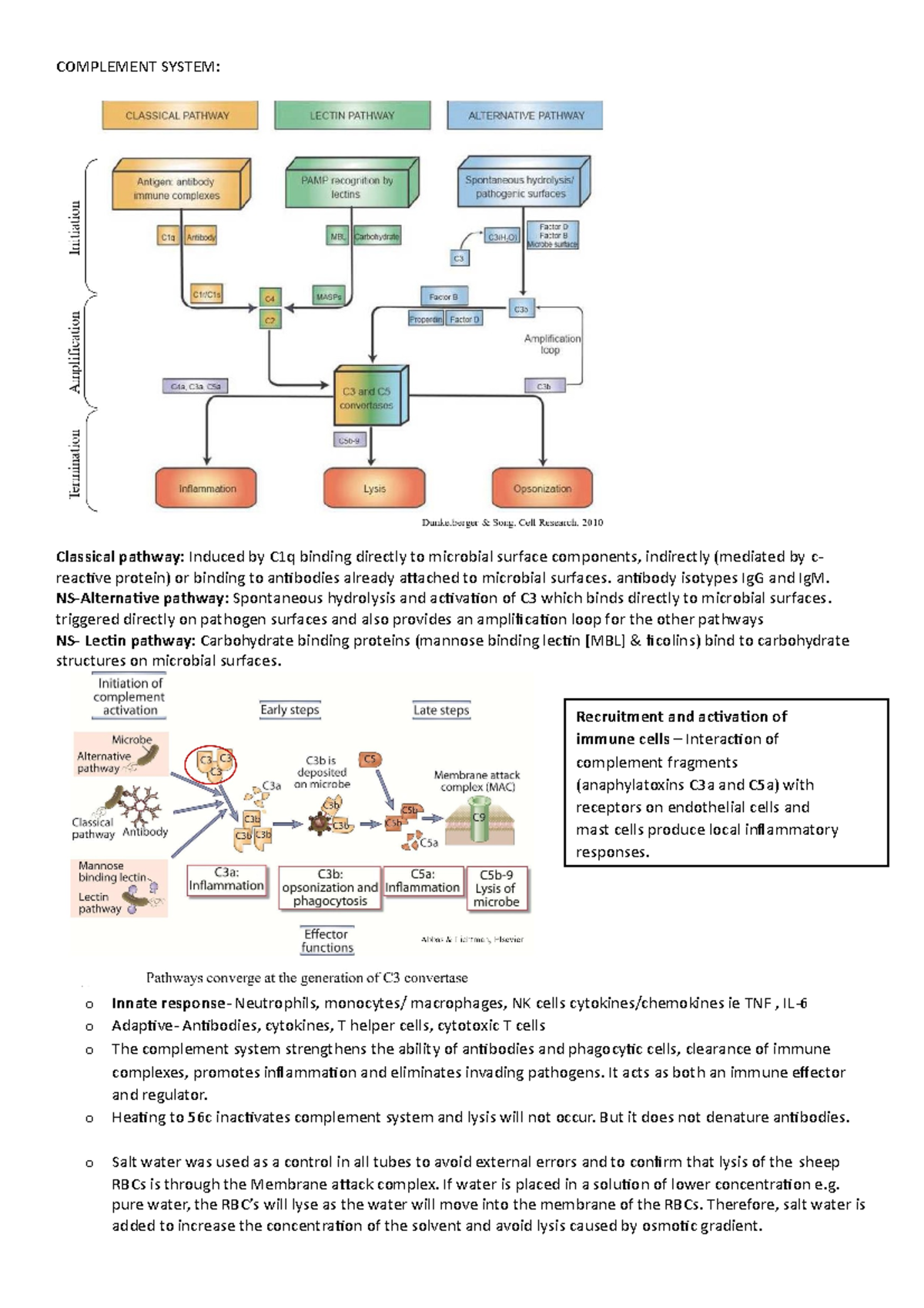 Prac exam paper - cheat sheet for prac exam - COMPLEMENT SYSTEM: Classical pathway: Induced by ...