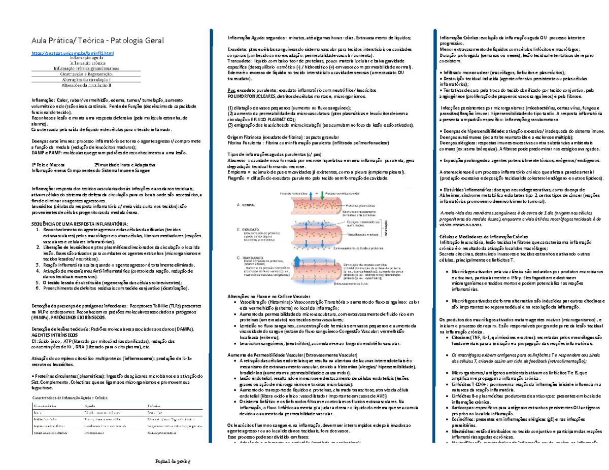 Patt - PATOLOGIA - Inflamação: Calor, rubor/ vermelhidão, edema, tumor ...