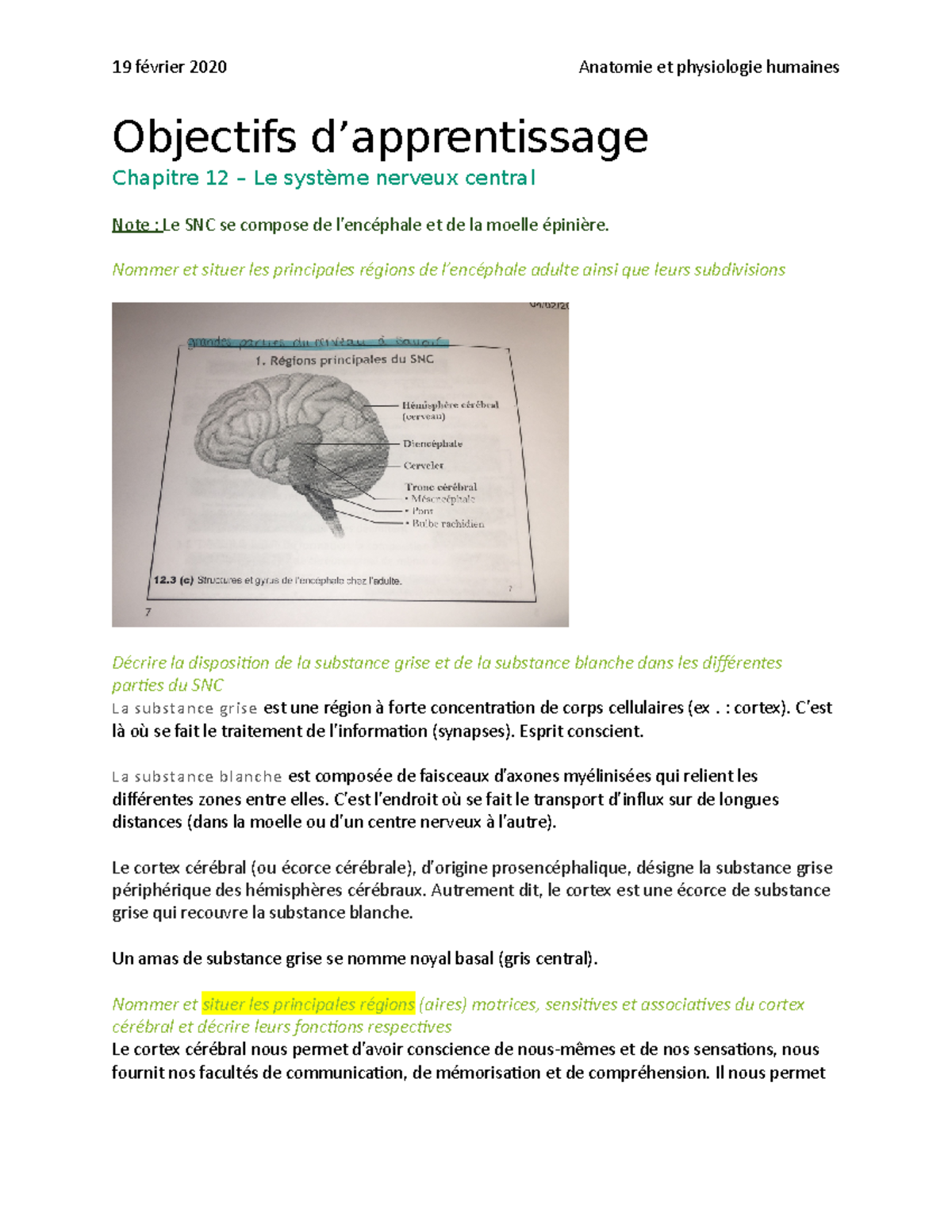 Ch12 le SNC - objectifs d'apprentissage - Objectifs d’apprentissage ...