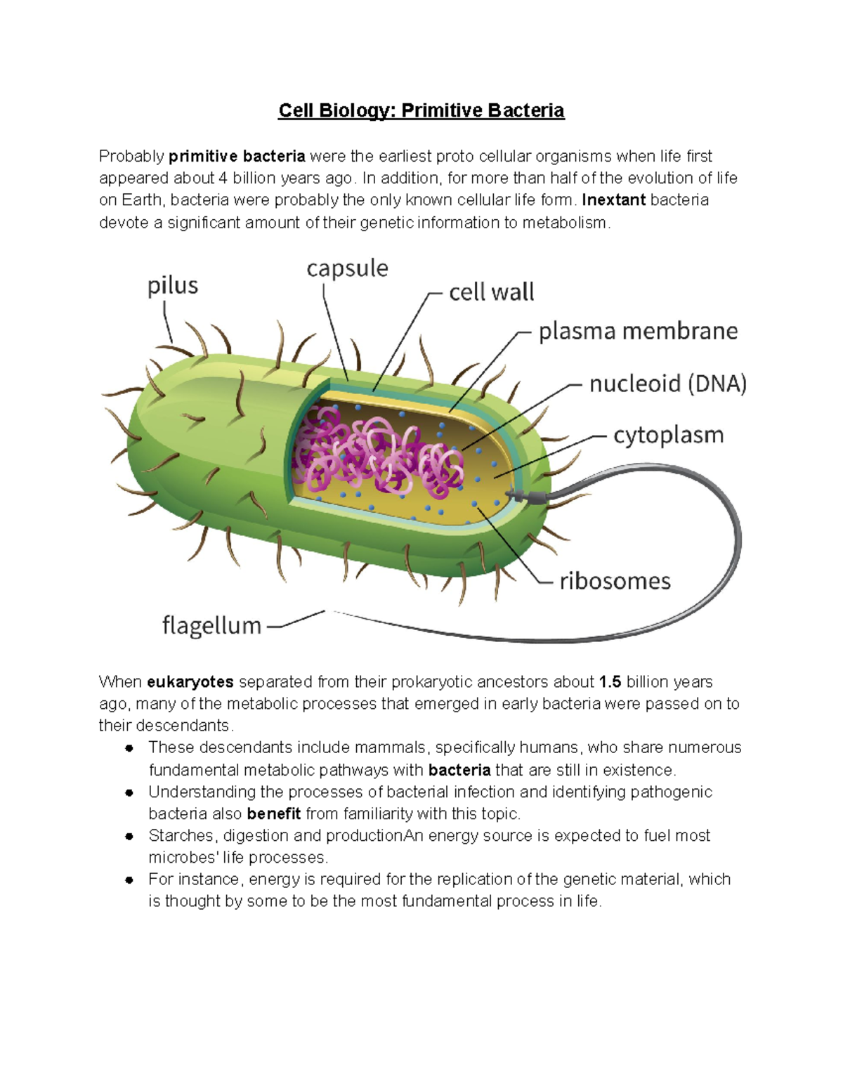 Cell Biology Primitive Bacteria - Cell Biology: Primitive Bacteria ...
