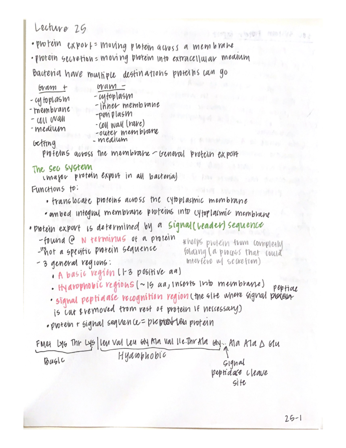 Bisc 333 Lecture 25 - Bisc 333 - Studocu