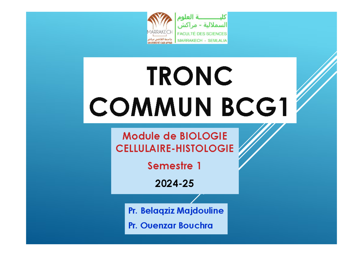 TD1Microscopes- Résolution-Imagerie TC BCG1- 2024-25.ecampus - TRONC COMMUN BCG Module de ...