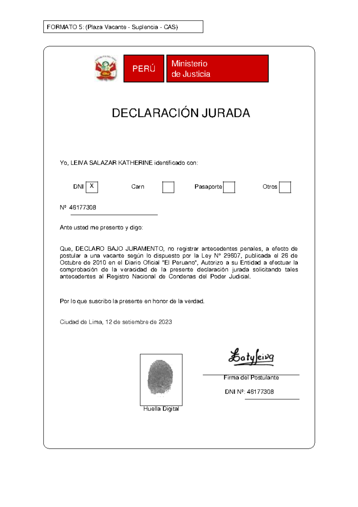 Declaracion Jurada Modelo En Formatos De Cv