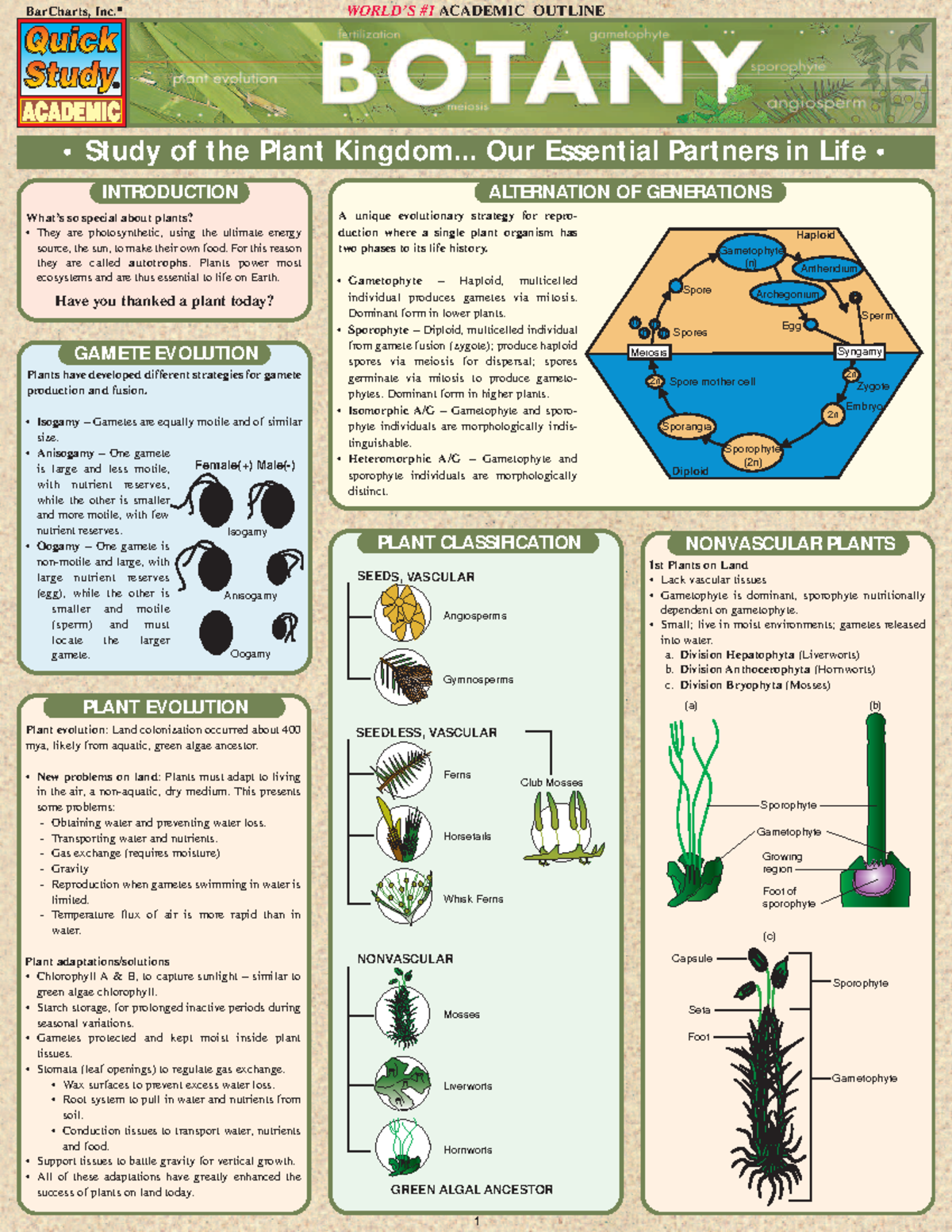 Quick Study Academic Botany - BarCharts, Inc.® WORLD’S #1 ACADEMIC ...