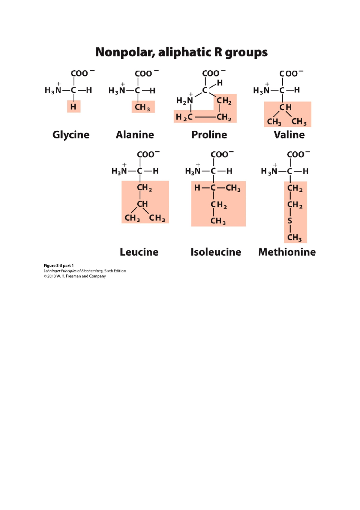 Onthoud 20 aminozuren - Nonpolar, aliphatic R groups l l H CH3 Glycine ...