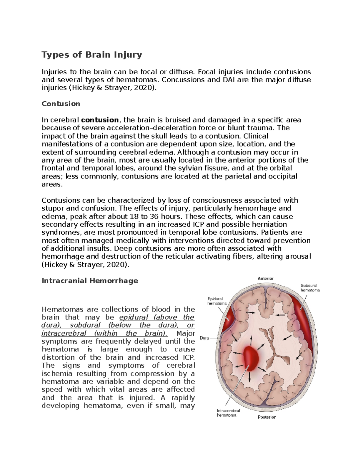 WK 4 LC - Learning content from realizeit - Types of Brain Injury ...