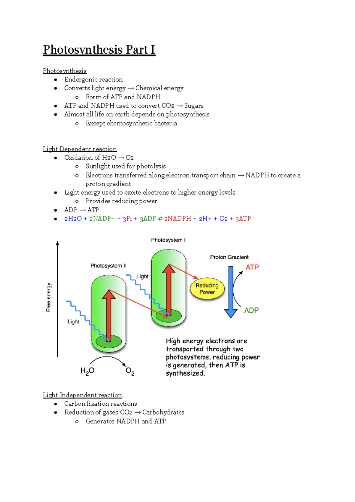 Lecture 19 : Photosynthesis I - Photosynthesis Part I Photosynthesis ...