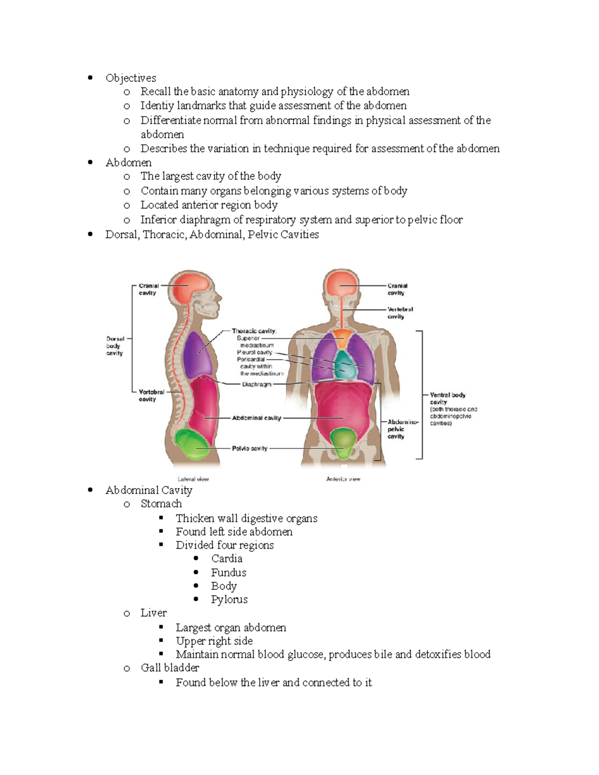 Week 6 notes - Objectives o Recall the basic anatomy and physiology of ...