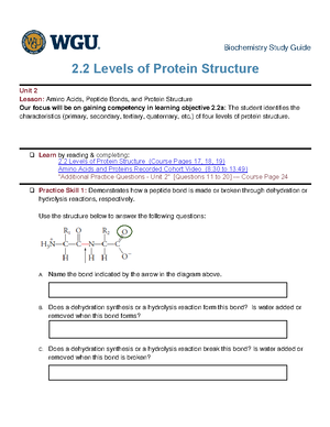 Quiz path REV2 - study guide - Describe how your body responds to an ...