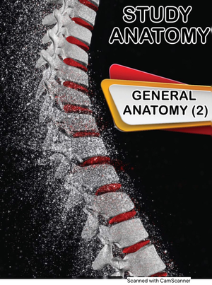 Mcq GIT - mcq GIT - Anatomy - Studocu