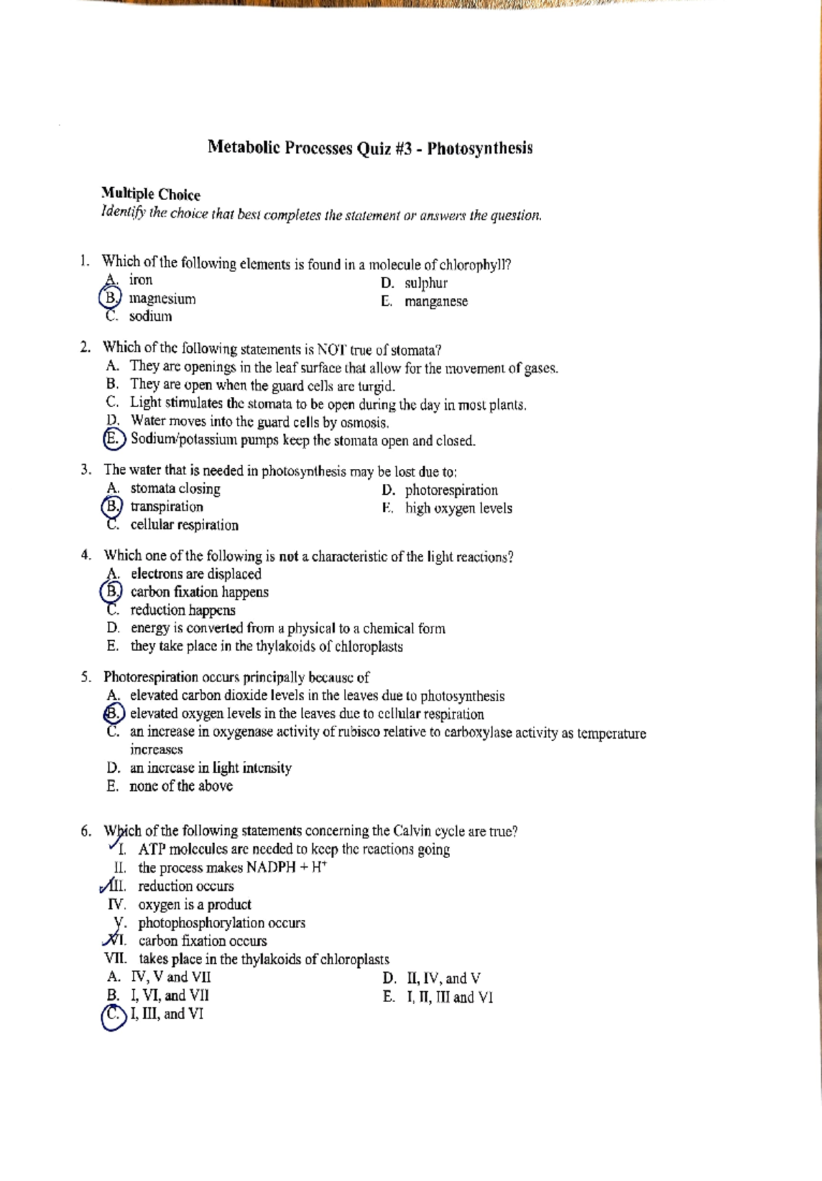 Metabolic Processes Quiz #3 - Photosynthesis - Multiple Choice ...