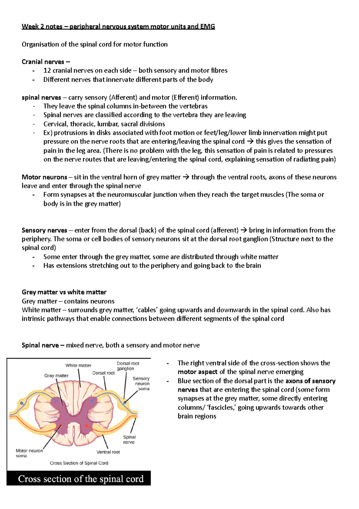 Week 2 notes - lecture note week 2 for phy3111 - Week 2 notes ...