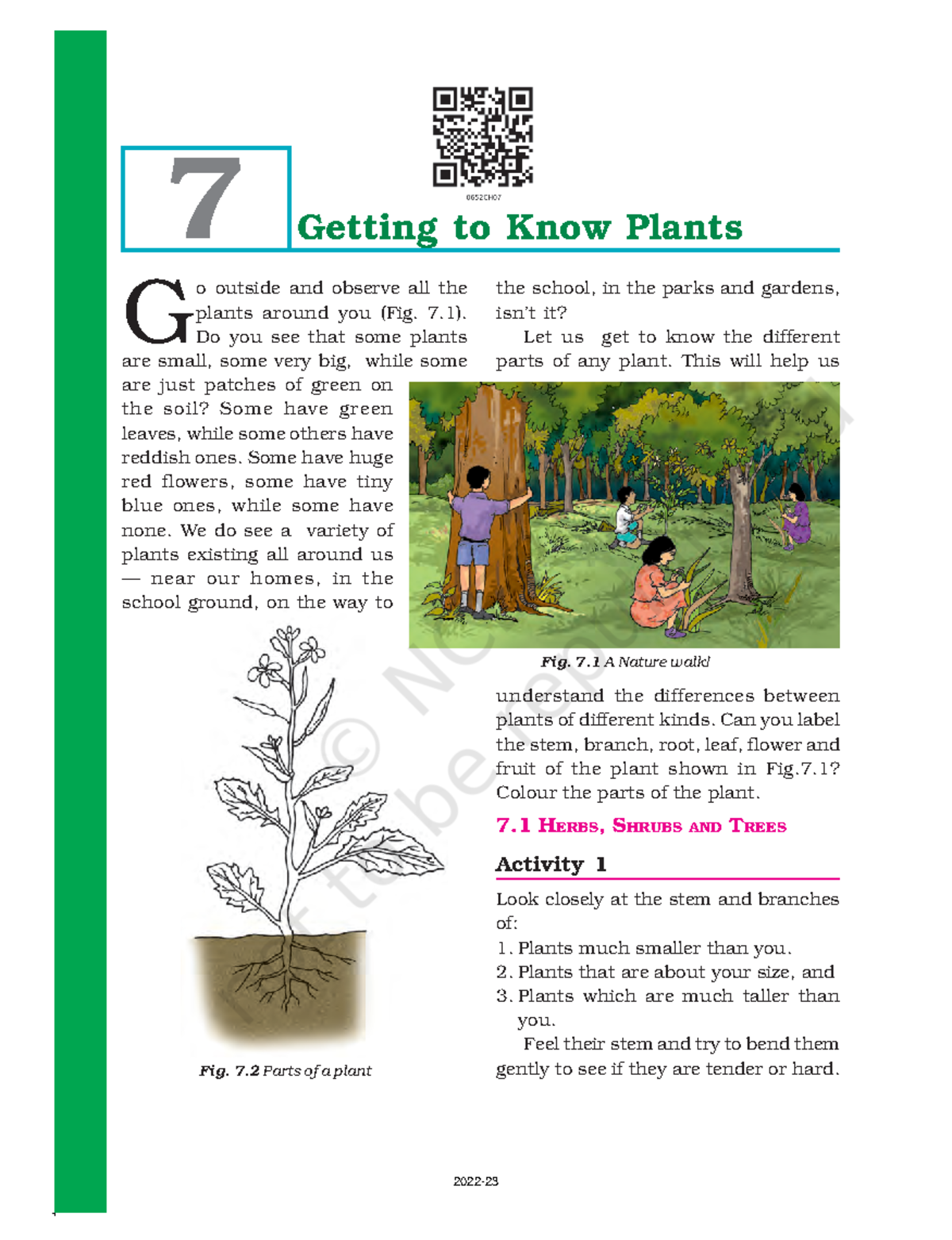 Fesc107 - science - 52 SCIENCE 7 Getting to Know Plants G o outside and ...