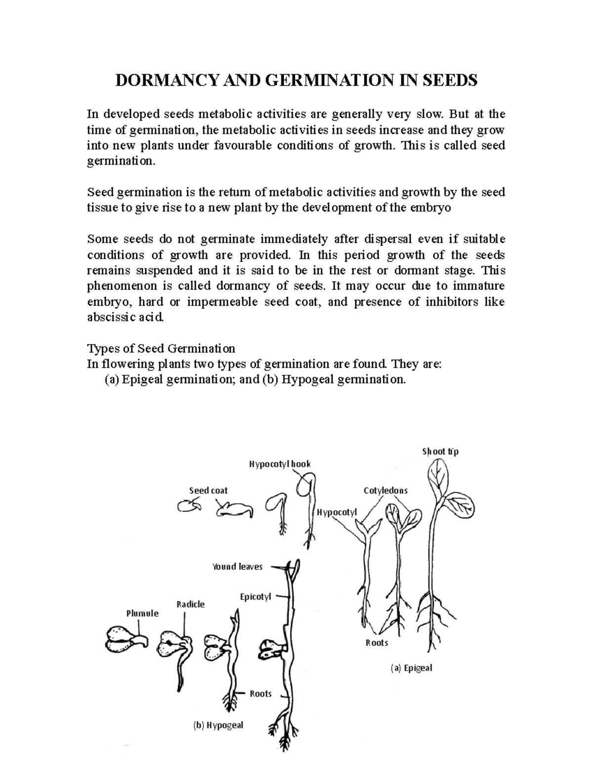 DORMANCY AND GERMINATION IN SEEDS - Shoot tip Hypocotyl hook Seed coat ...