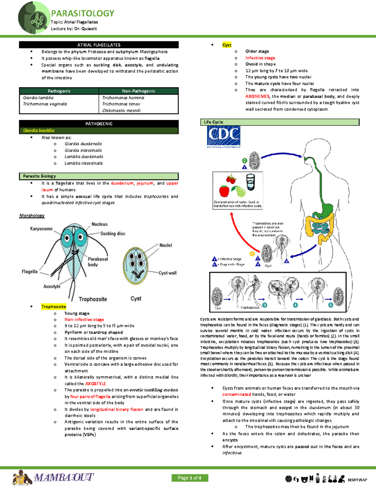 Parasitology-Atrial-Flagellates - Topic: Atrial Flagellates Lecture by ...