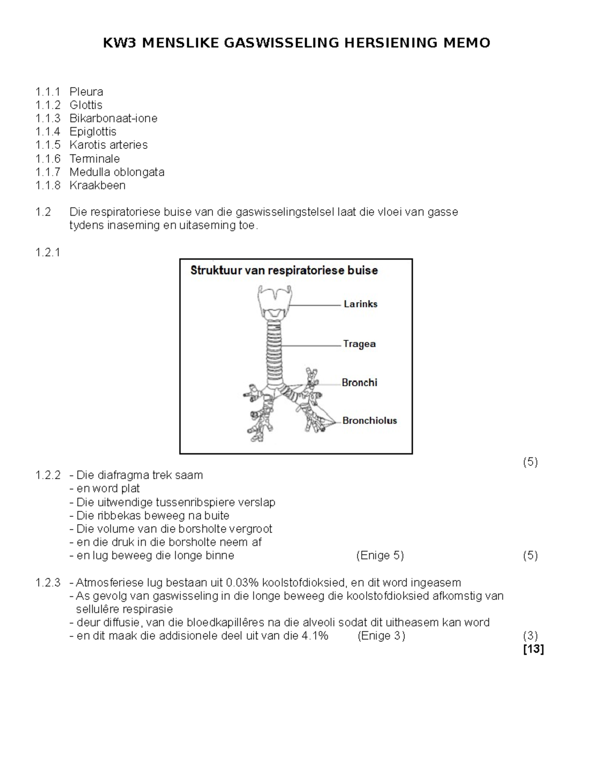 KW3 Menslike Gaswisseling hersiening MEMO - KW3 MENSLIKE GASWISSELING ...
