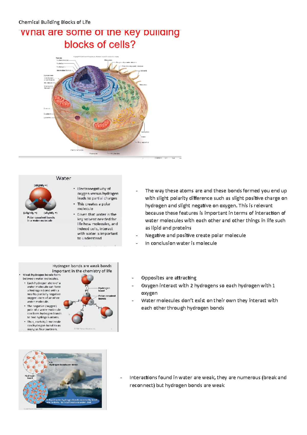 Lecture 1 - wsu - Chemical Building Blocks of Life - The way these ...
