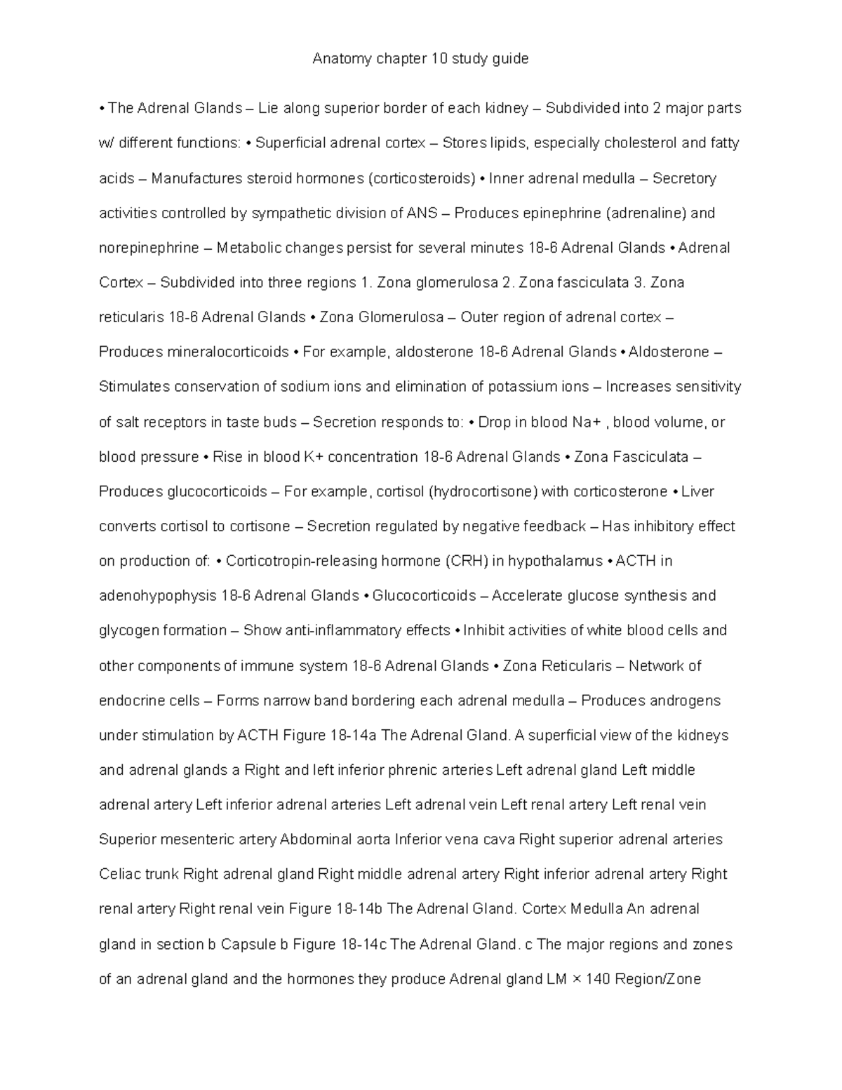 Anatomy chapter 10 study guide - Anatomy chapter 10 study guide The ...