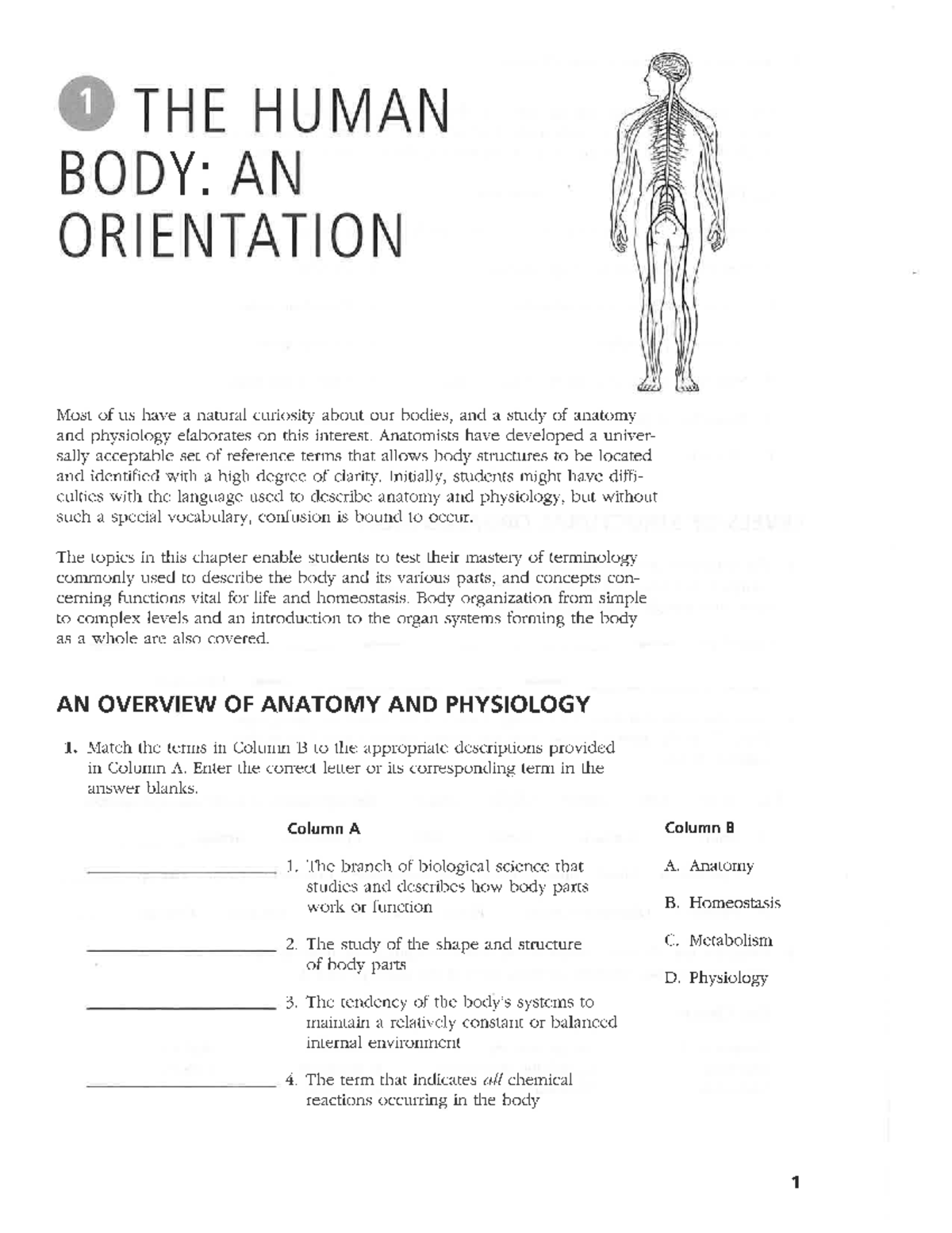 Human Body Worksheet - BIOL 2113(L) - Studocu