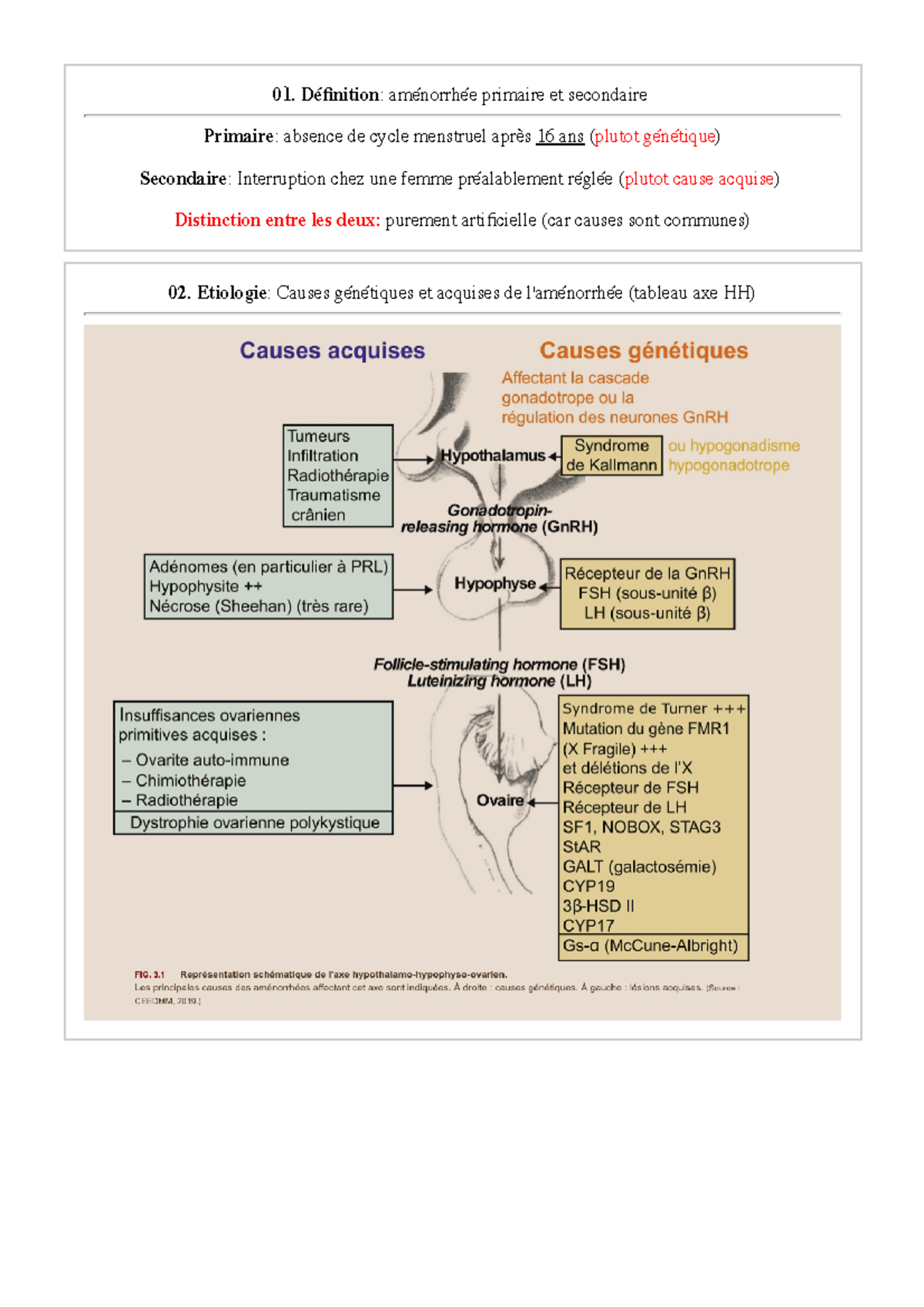 42 (40). Aménorrhée - ED donné dans le cadre de la R2C, la nouvelle ...