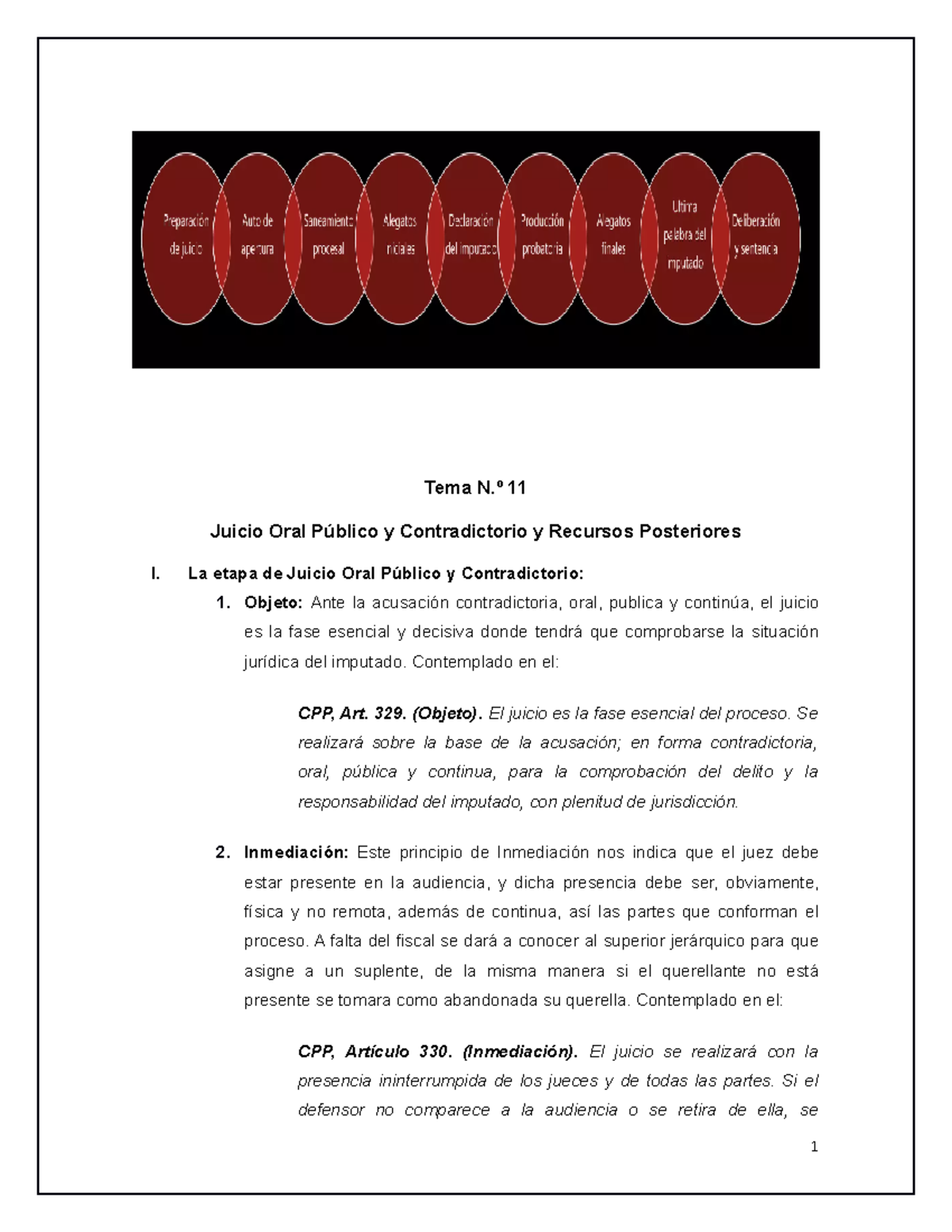 TP Juicio ORAL Publico Y Contradictorio - Tema N.º 11 Juicio Oral ...
